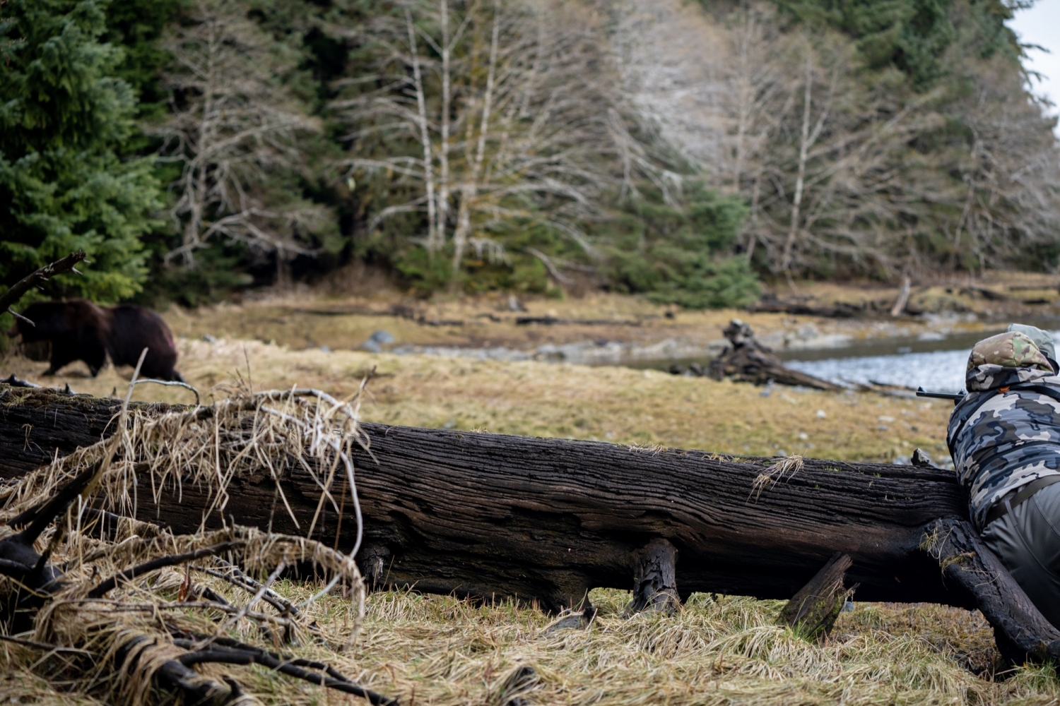 Brown Bear Gallery | Alaska Boat Hunts