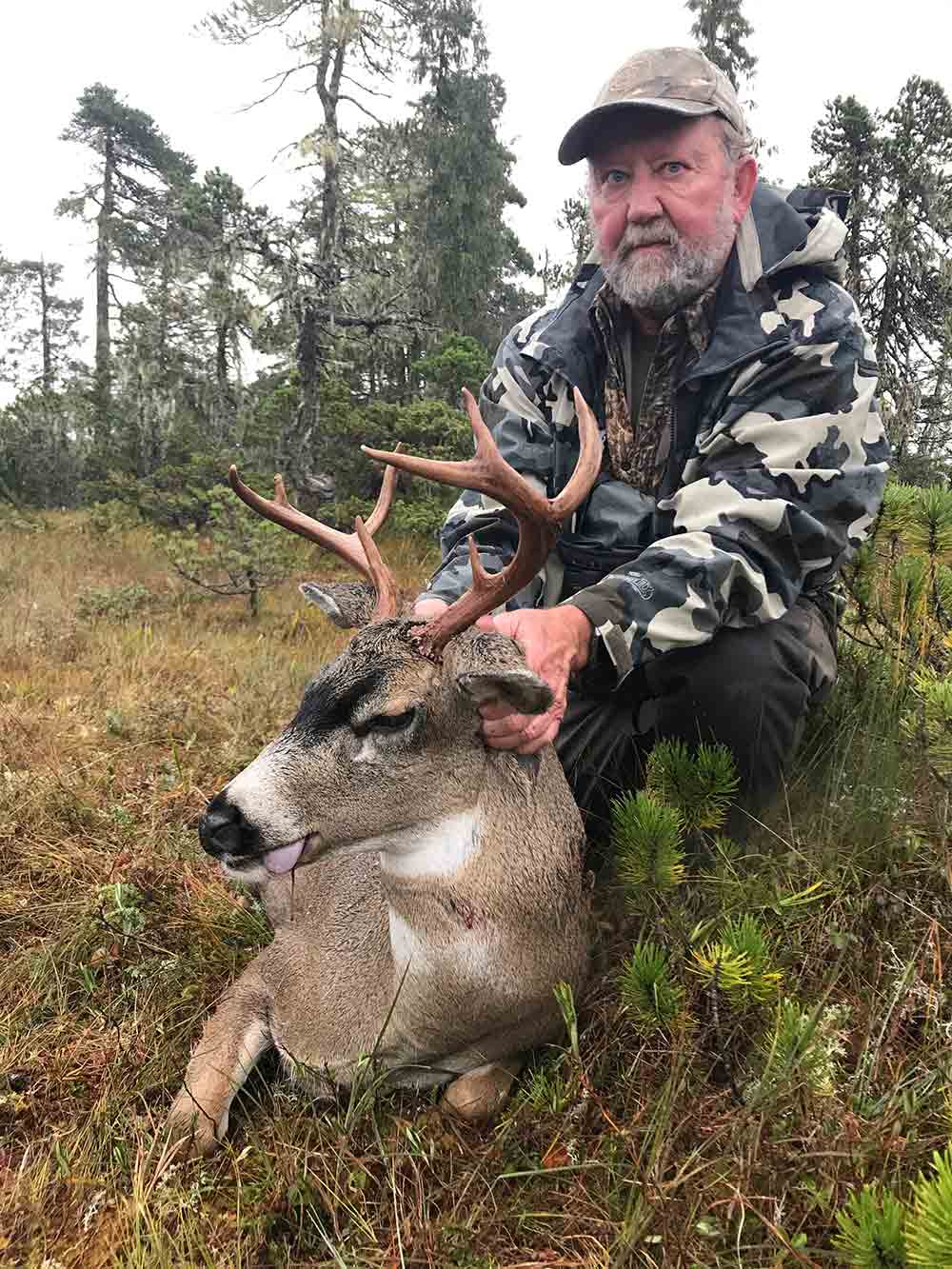 Pursue Majestic Sitka Deer On Alaska Boat Hunts