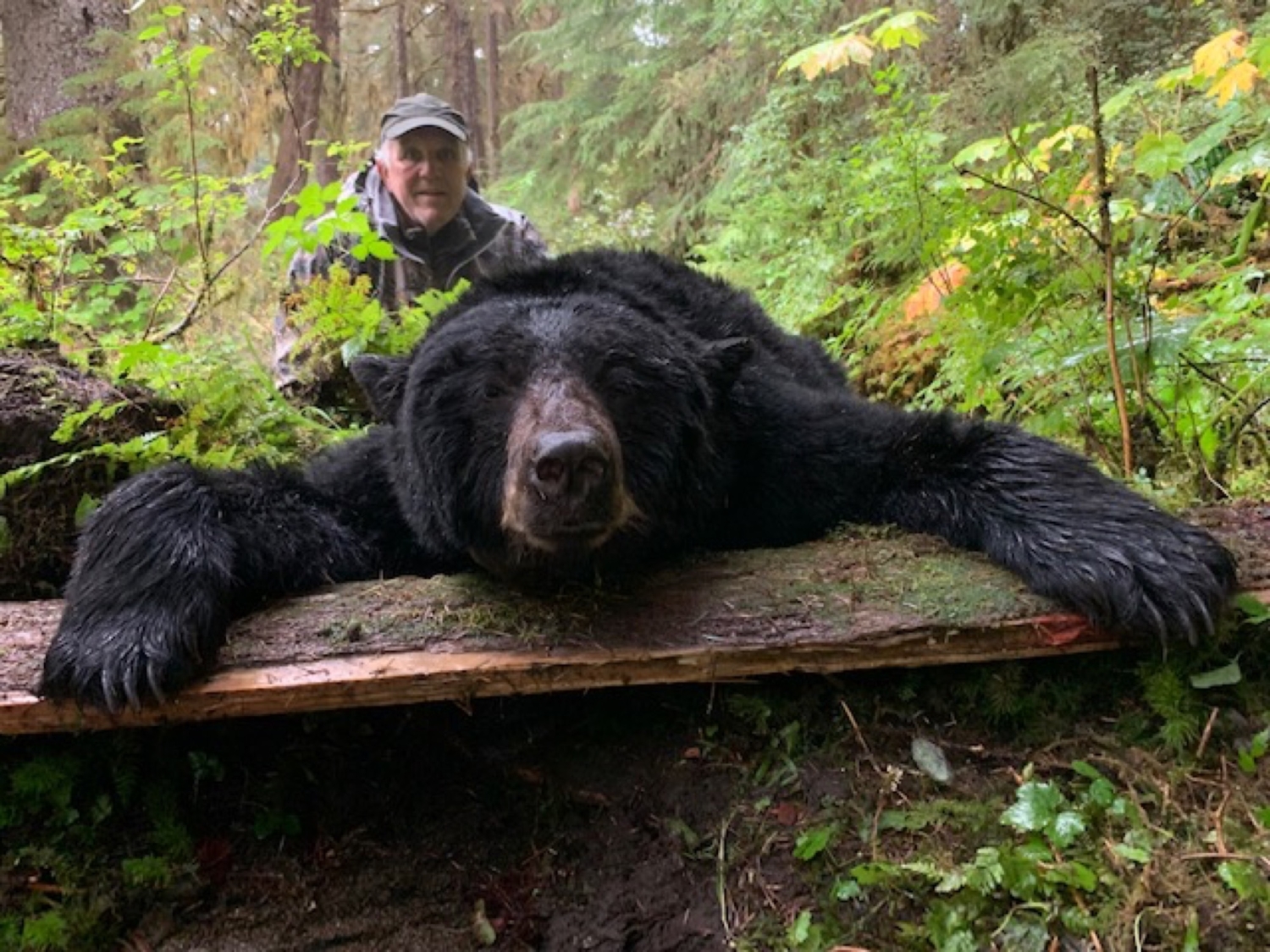 Alaska Black Bear Hunting | Alaska Boat Hunts