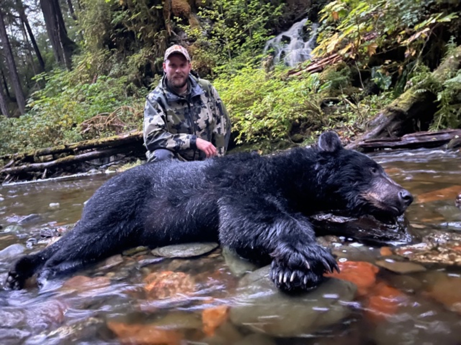 Alaska Black Bear Hunting | Alaska Boat Hunts
