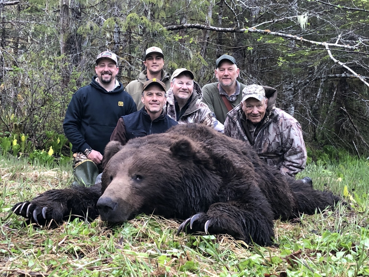 Brown Bear Hunts in Alaska: Ultimate Trophy Adventure