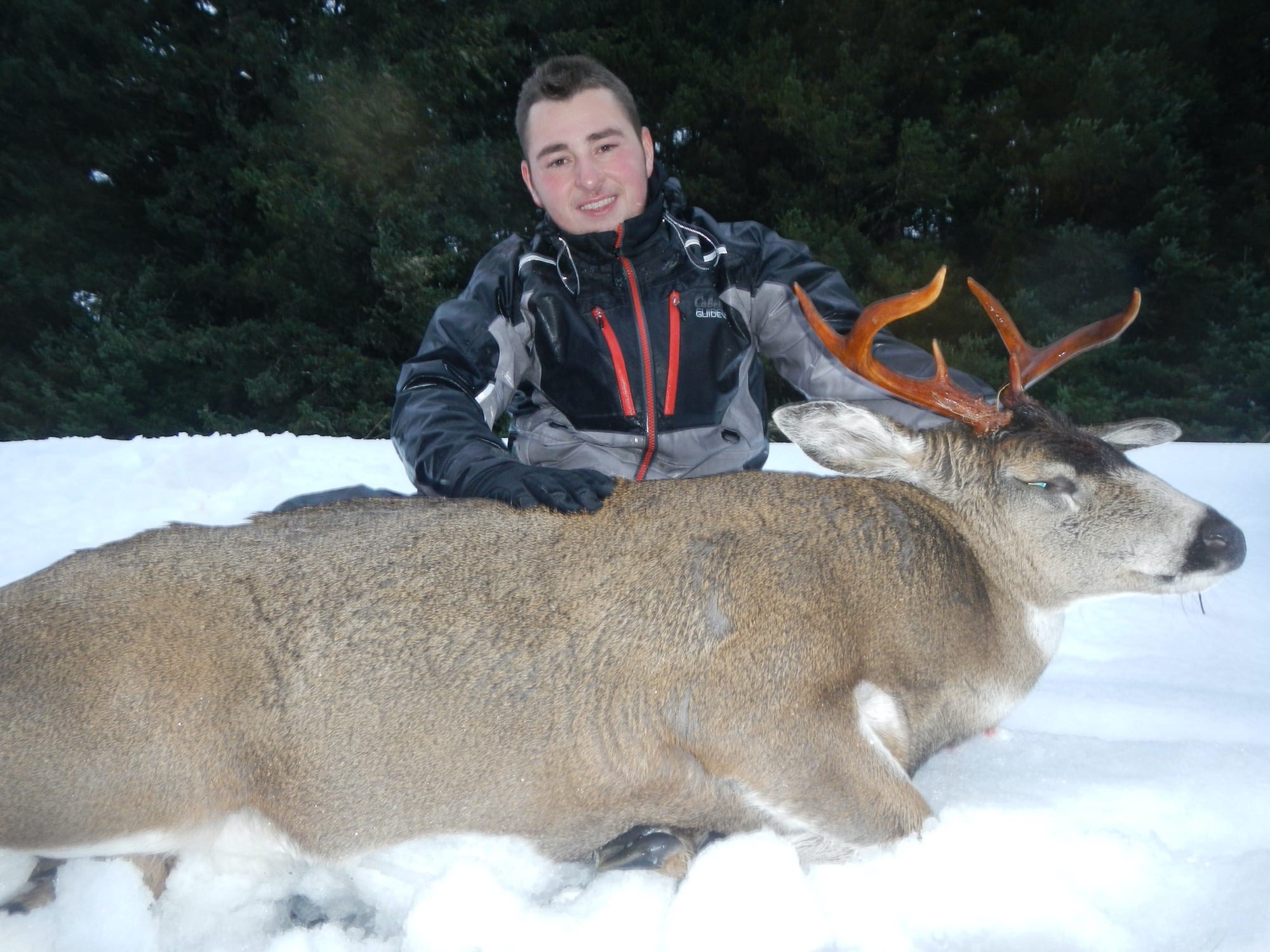 Pursue Majestic Sitka Deer On Alaska Boat Hunts