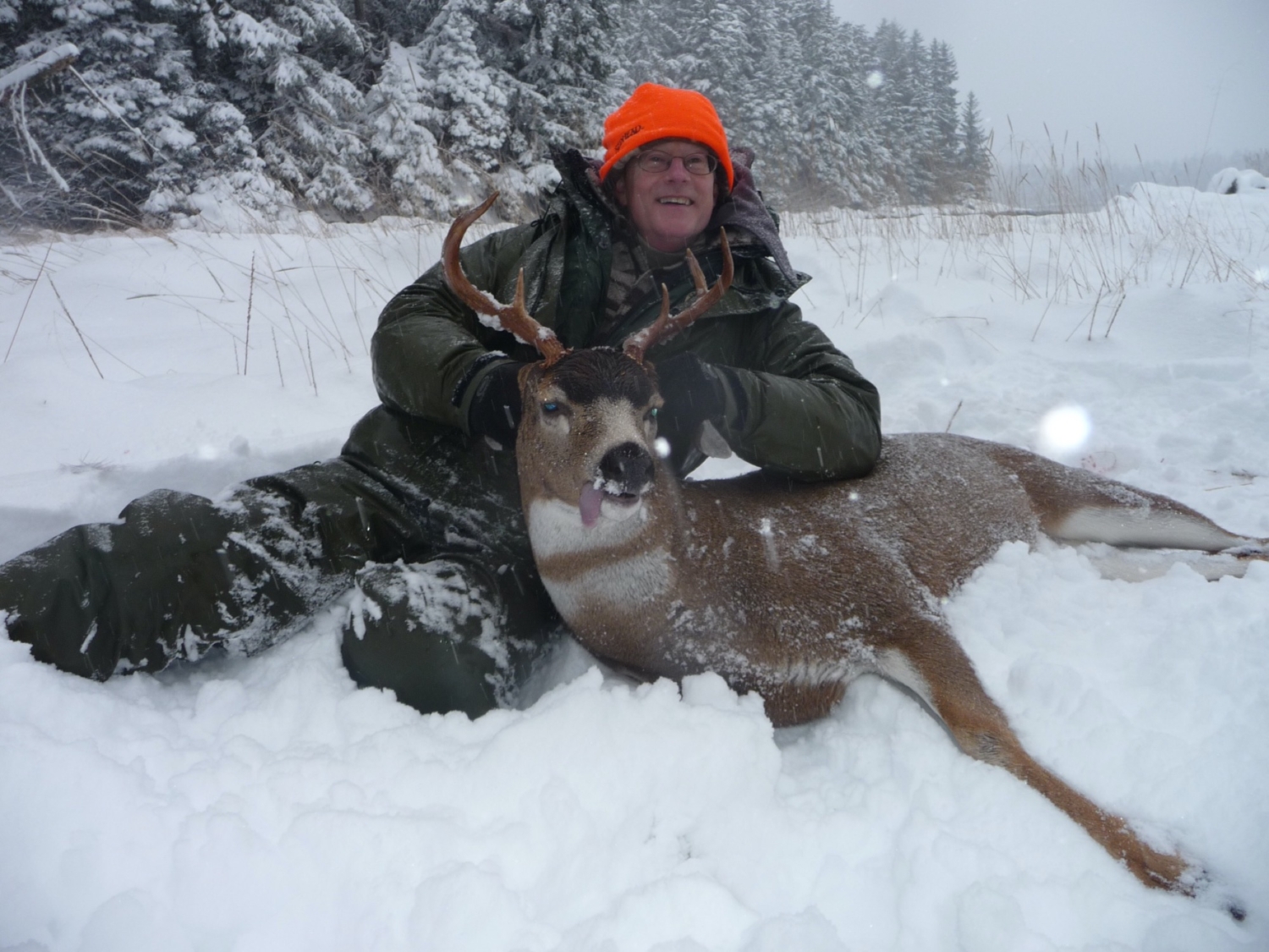 Pursue Majestic Sitka Deer On Alaska Boat Hunts