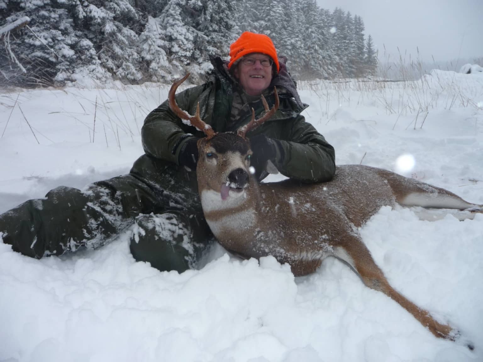 Pursue Majestic Sitka Deer On Alaska Boat Hunts