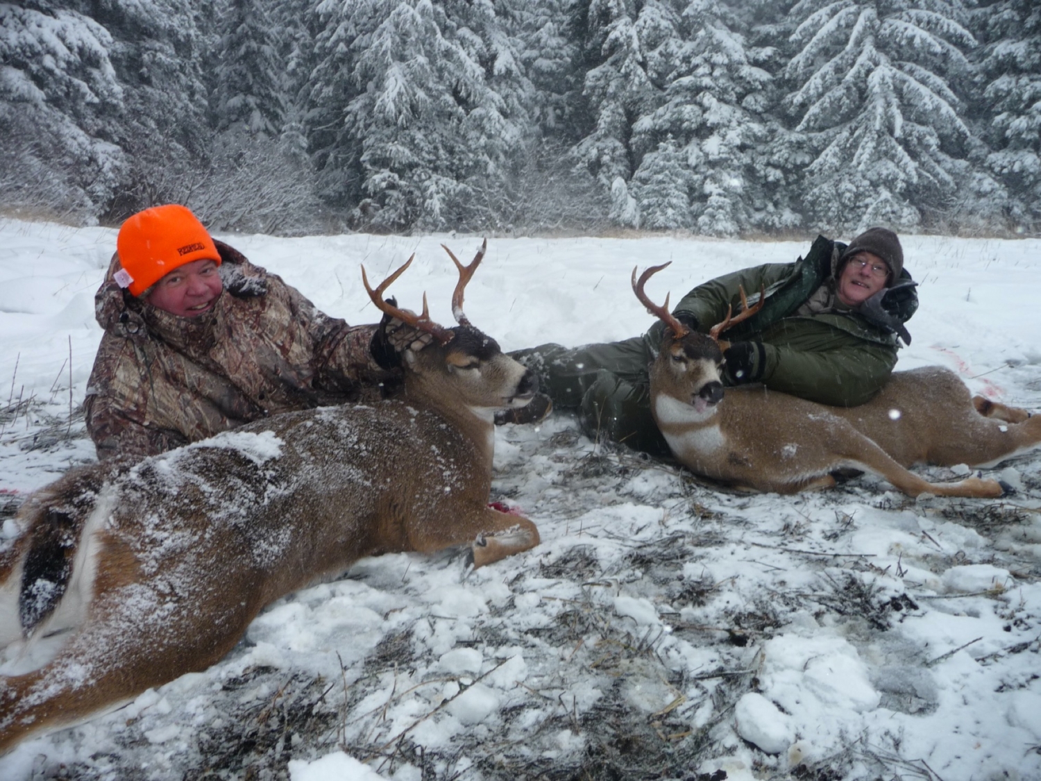 Pursue Majestic Sitka Deer On Alaska Boat Hunts